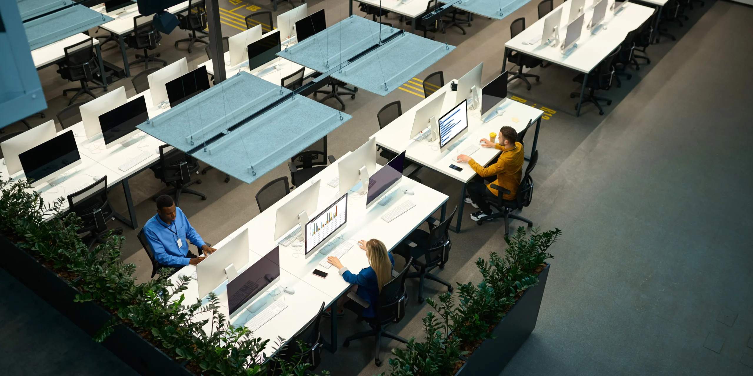 The Future Forward for IT Companies | Workplace Design